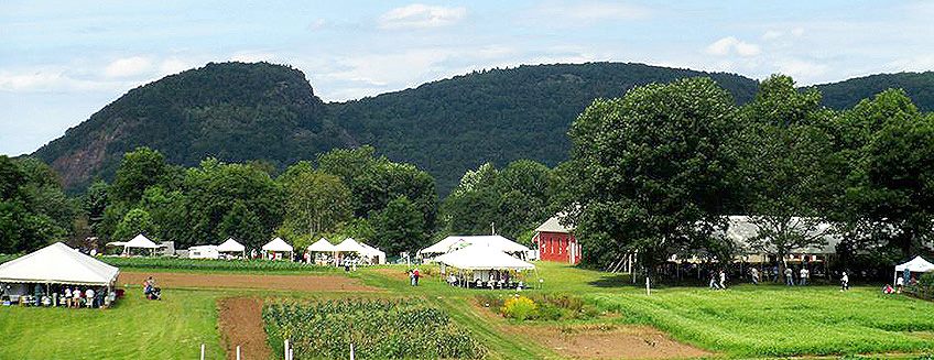 lockwoodfarm