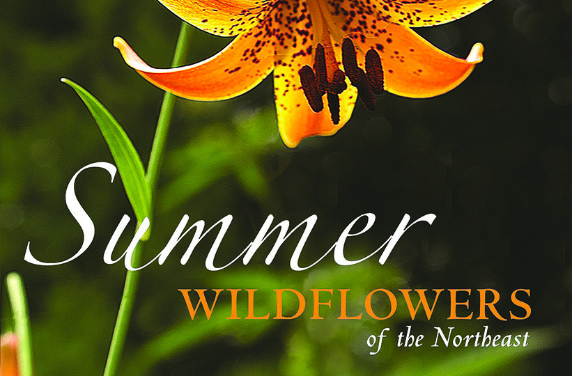 Wild About Native Roses: Their Beauty and Wildlife Value Belong in Our ...